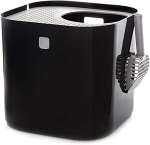 Choosing the Right Litter Box: Complete Guide to the Best Cat Litter ...